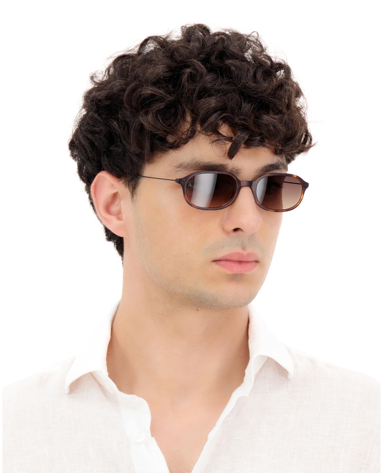 Matrix Sunglasses – Havana Brown - Albidaa